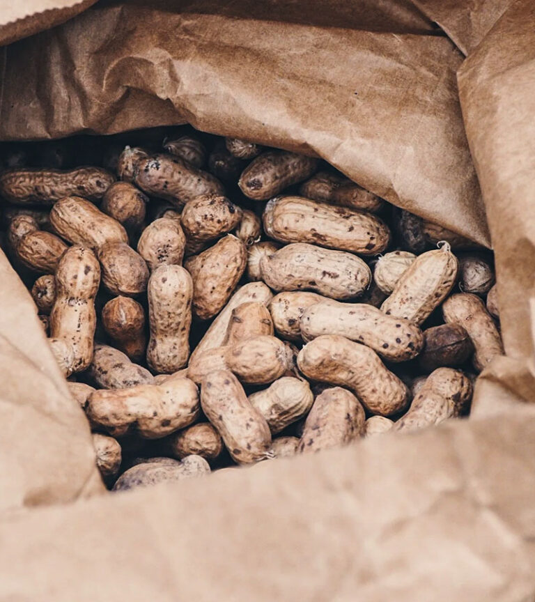 SEMILLAS DE MANÍ CHILENO- 15s – Huerta Familiar