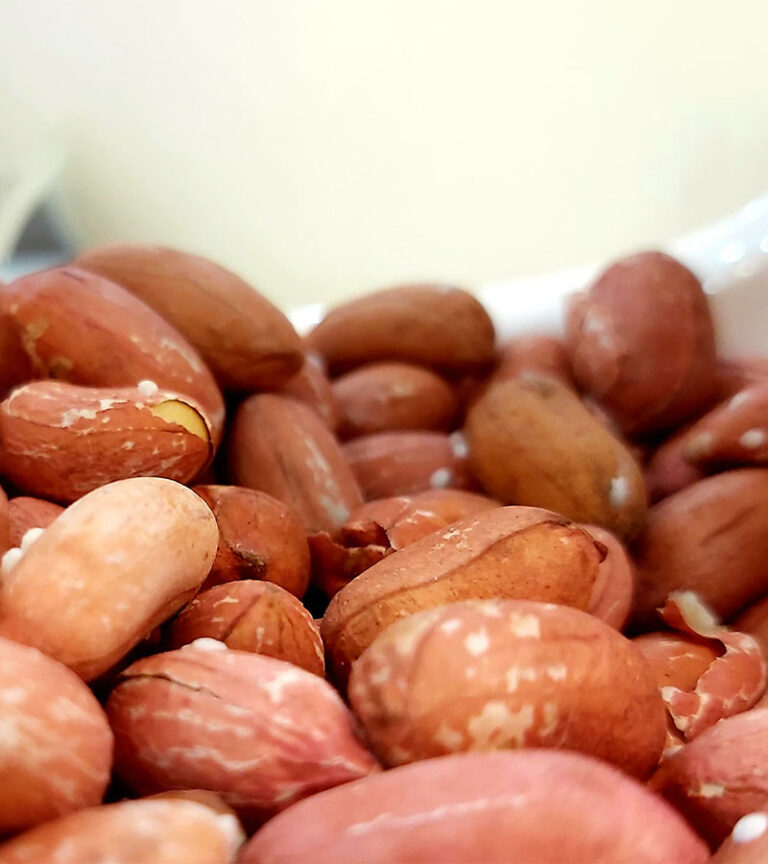 SEMILLAS DE MANÍ CHILENO- 15s – Huerta Familiar