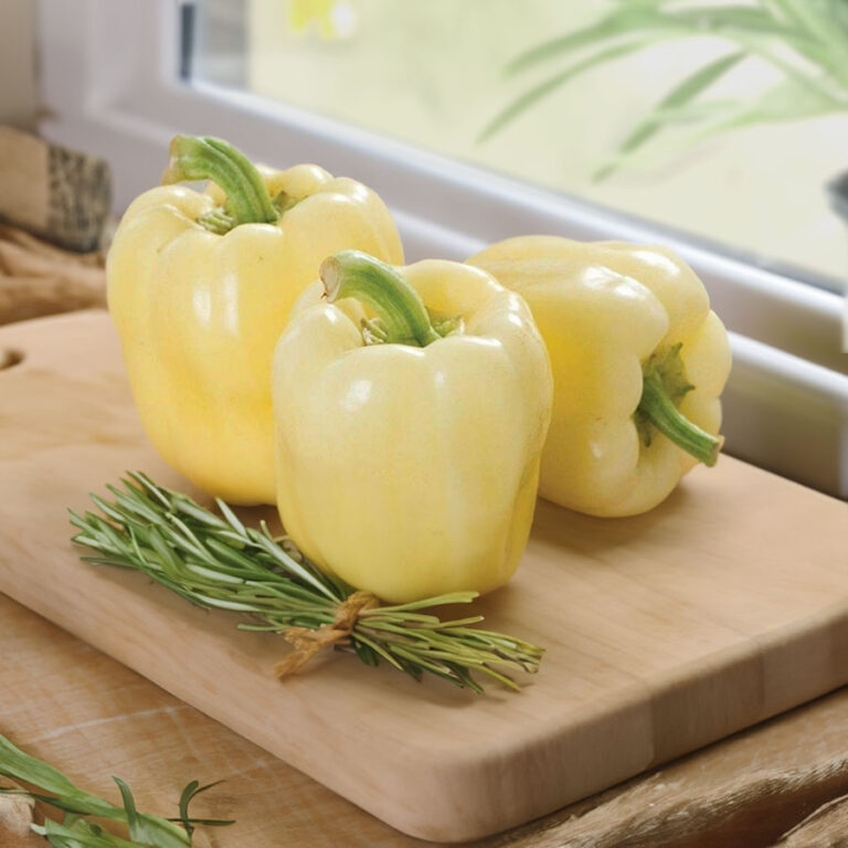 SEMILLAS DE PIMENTÓN PALANACKA BABURA 15s – Huerta Familiar